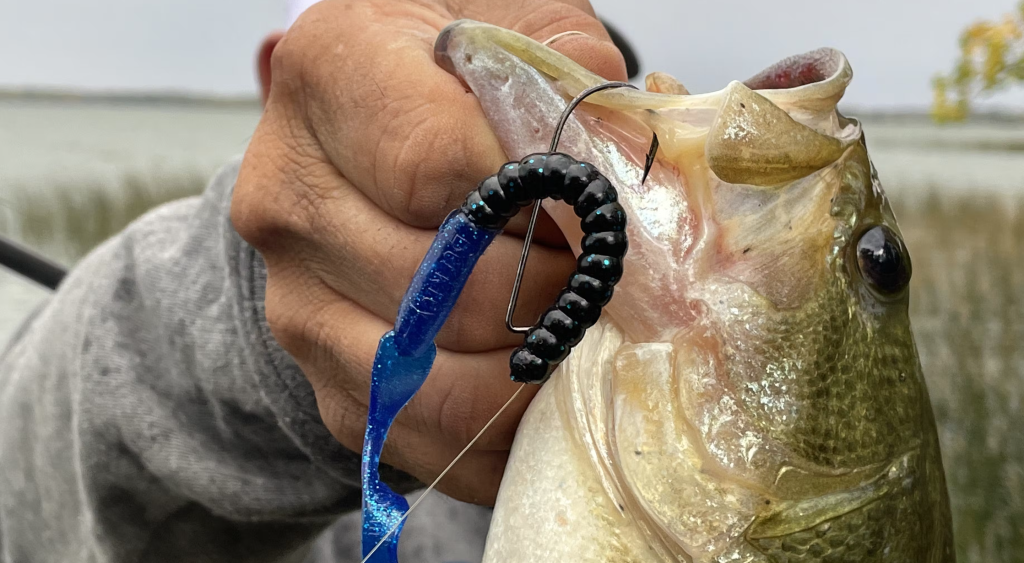 How to Fish a Texas Rig - Fishing Chronicle